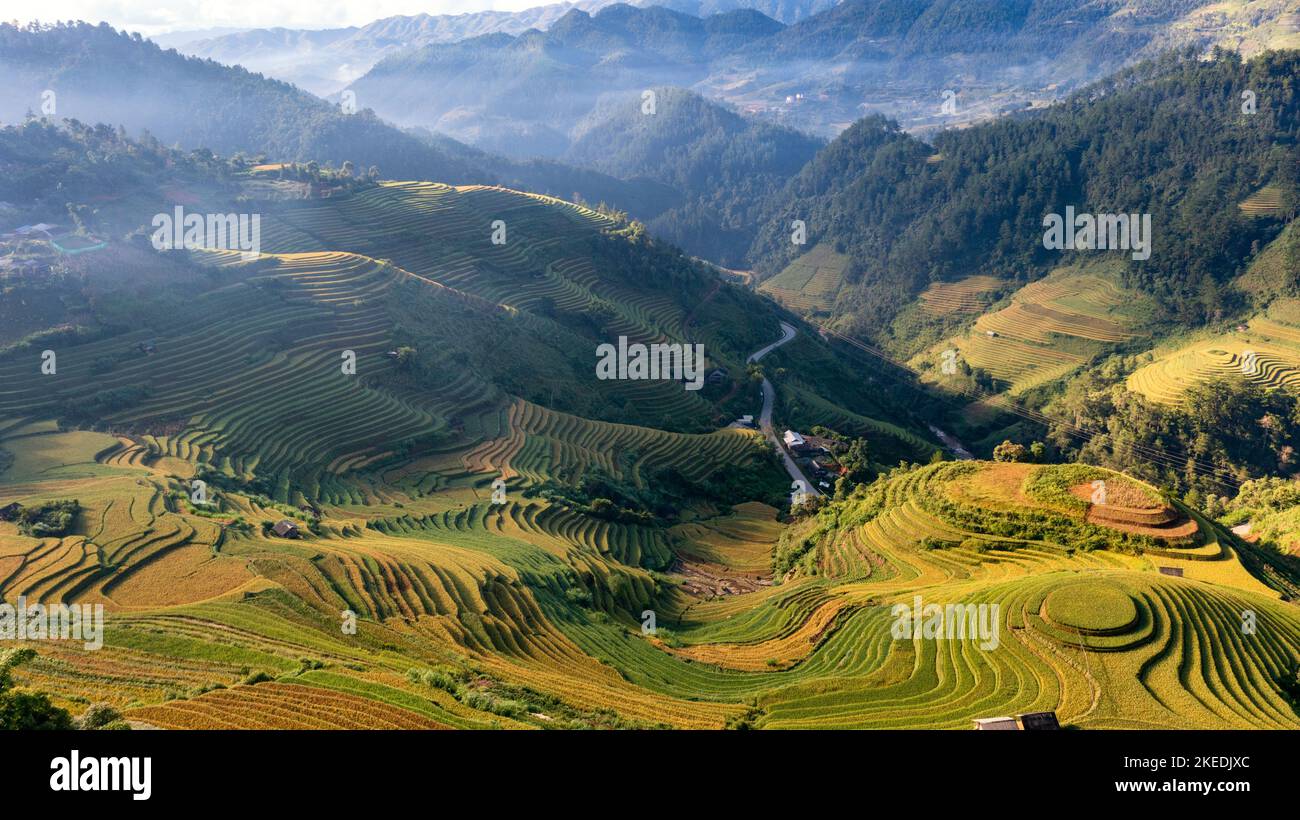 Rice fields on terraced of Mu Cang Chai, YenBai, Vietnam. Rice fields ...