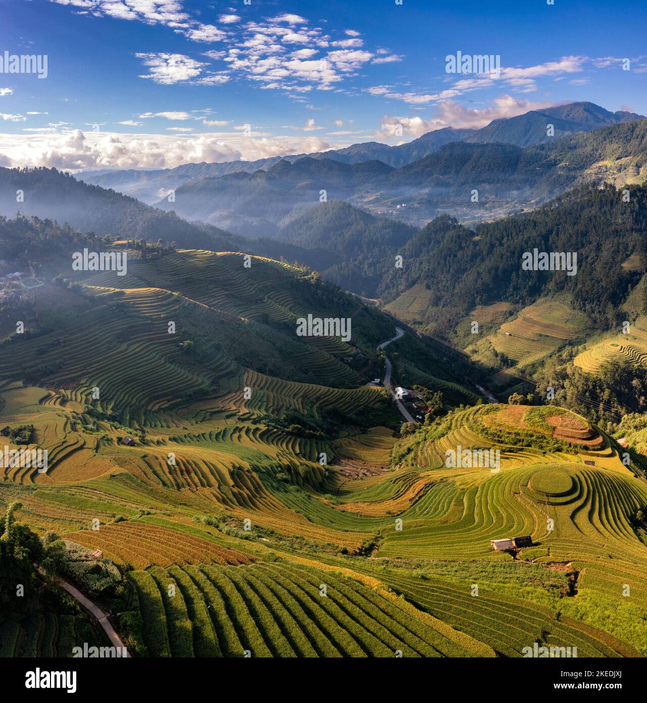 Rice fields on terraced of Mu Cang Chai, YenBai, Vietnam. Rice fields ...