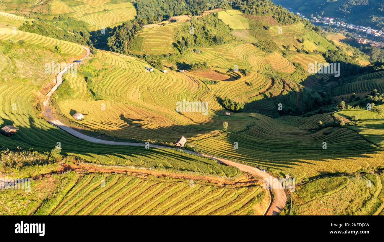 Rice fields on terraced of Mu Cang Chai, YenBai, Vietnam. Rice fields ...