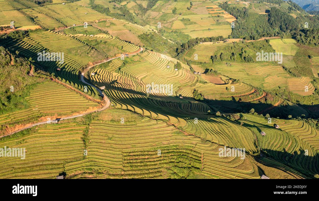 Rice fields on terraced of Mu Cang Chai, YenBai, Vietnam. Rice fields ...