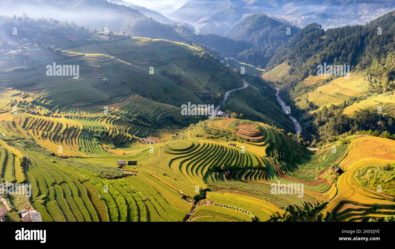 Rice fields on terraced of Mu Cang Chai, YenBai, Vietnam. Rice fields ...