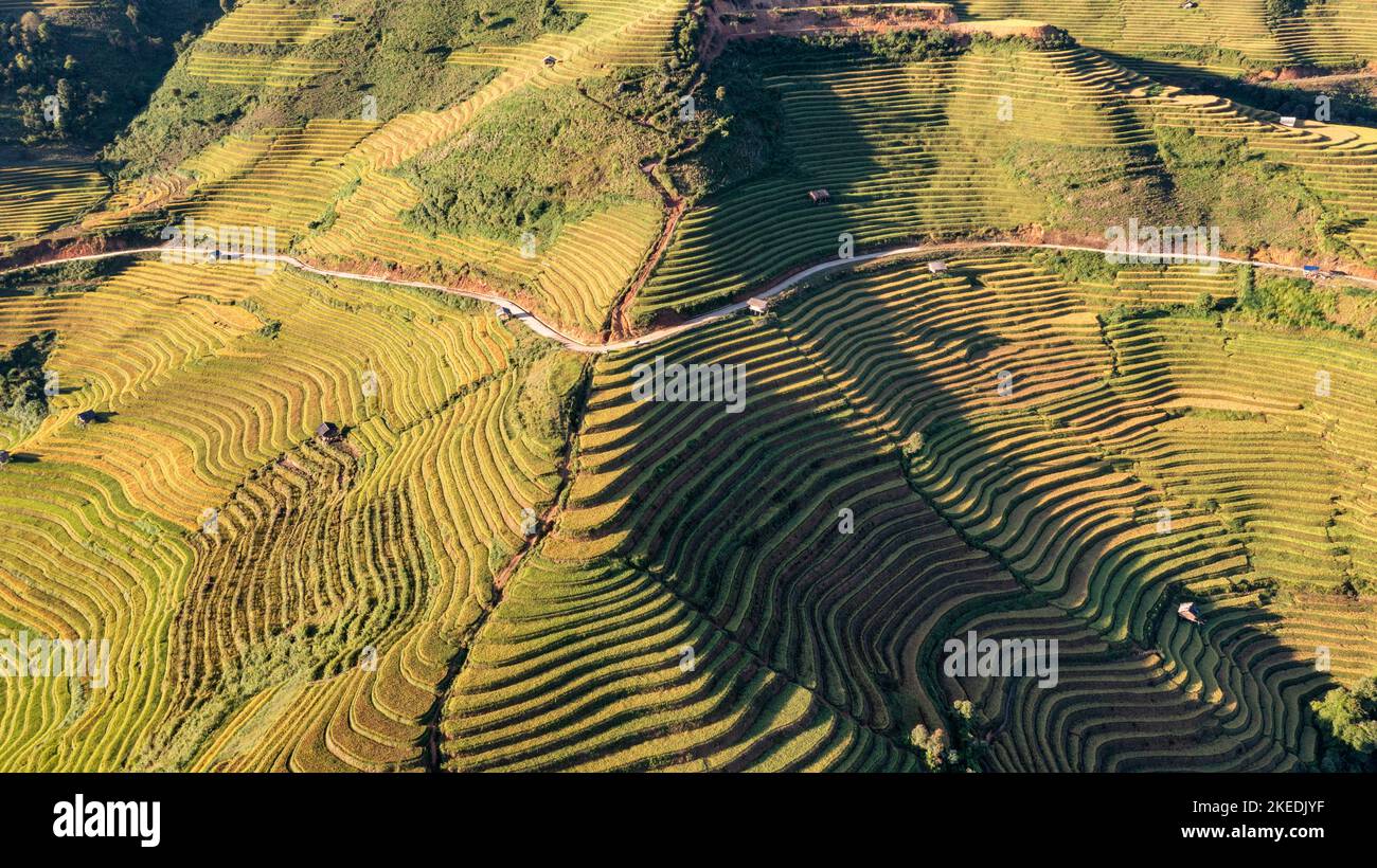 Rice fields on terraced of Mu Cang Chai, YenBai, Vietnam. Rice fields ...