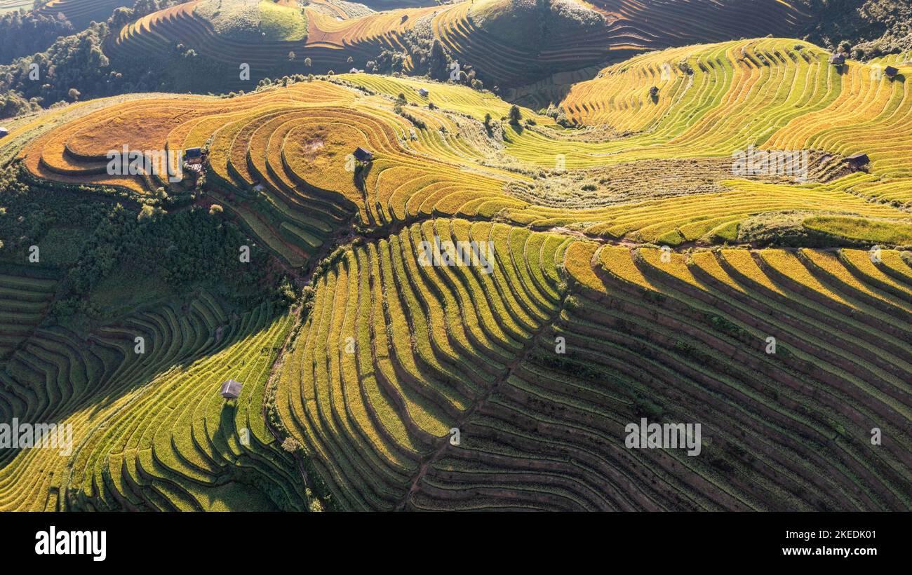 Rice fields on terraced of Mu Cang Chai, YenBai, Vietnam. Rice fields ...