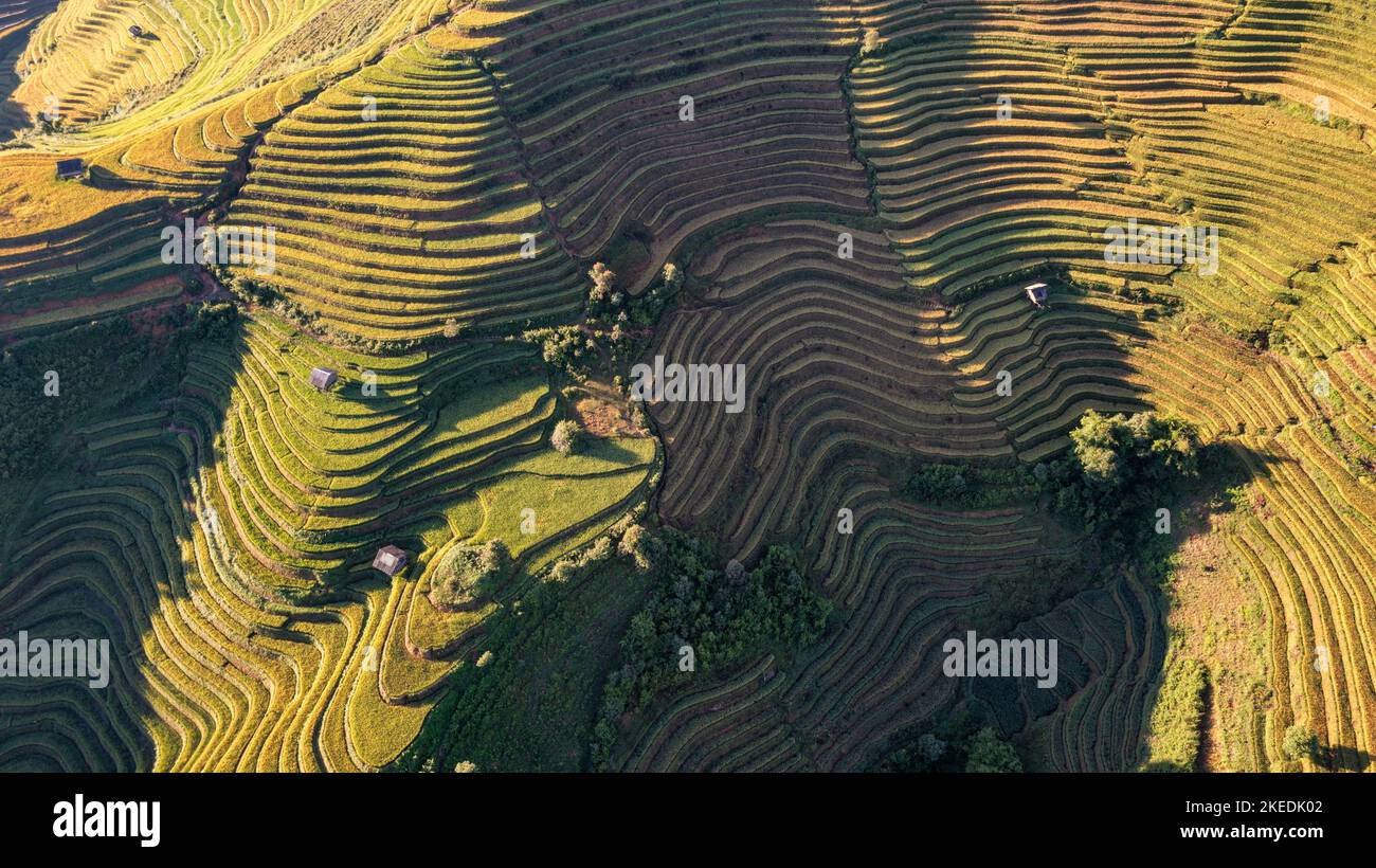 Rice fields on terraced of Mu Cang Chai, YenBai, Vietnam. Rice fields ...