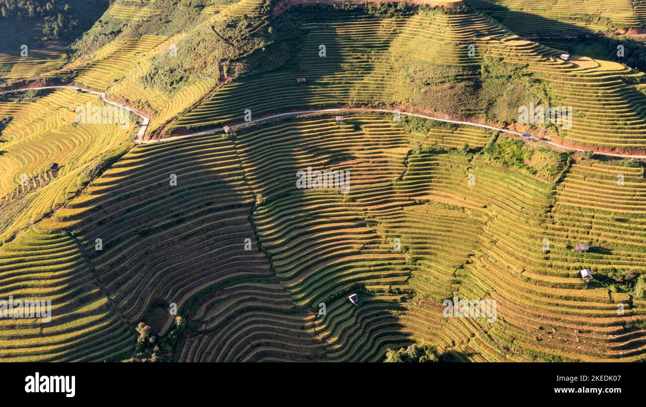 Rice fields on terraced of Mu Cang Chai, YenBai, Vietnam. Rice fields ...