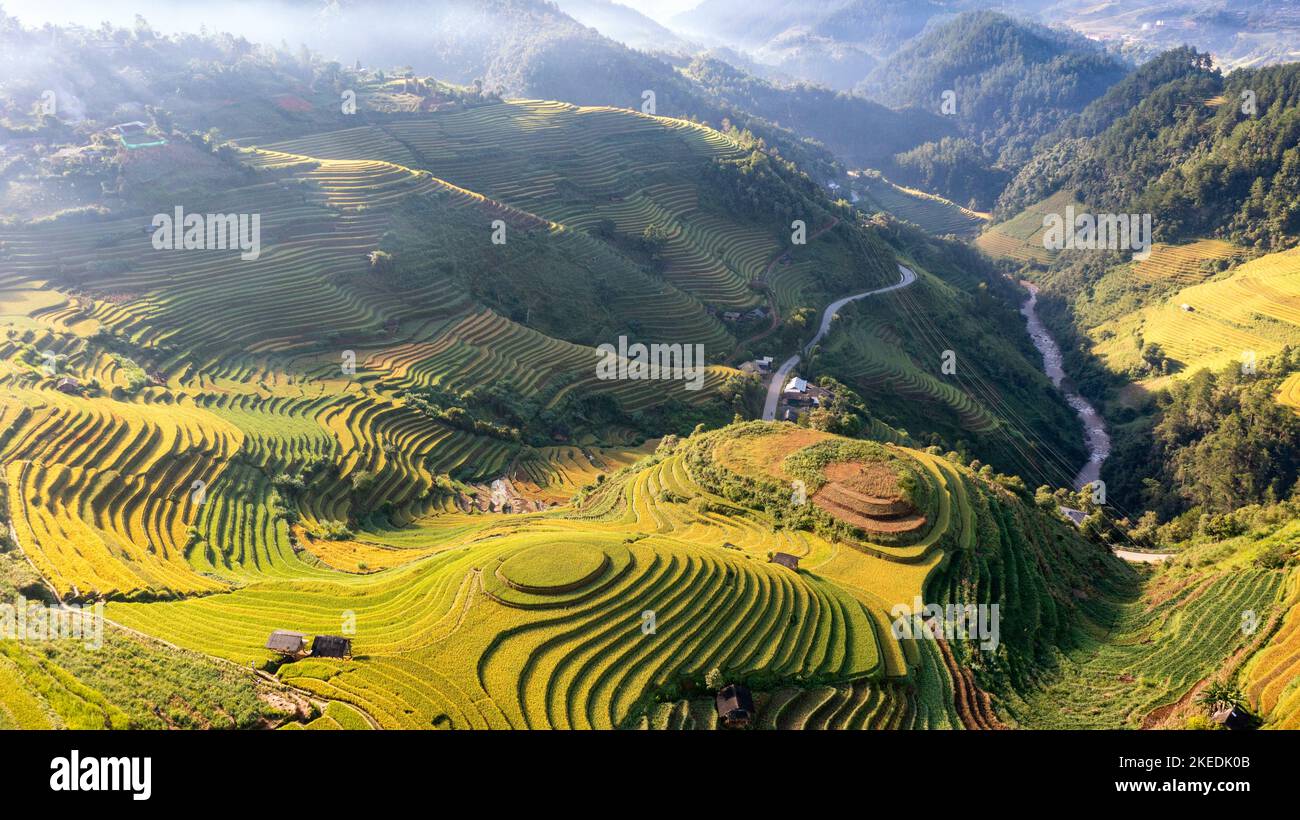 Rice fields on terraced of Mu Cang Chai, YenBai, Vietnam. Rice fields ...