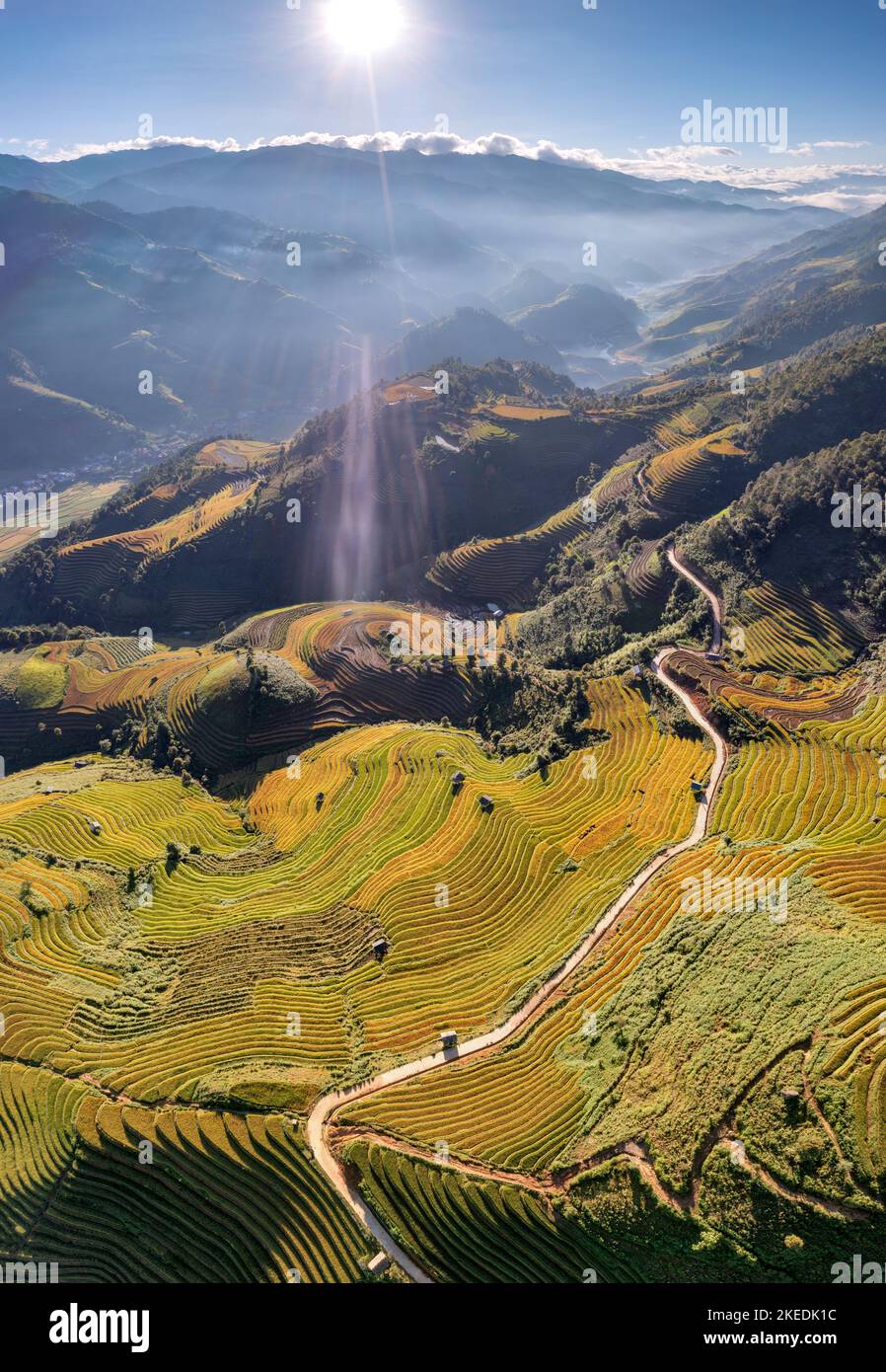 Rice fields on terraced of Mu Cang Chai, YenBai, Vietnam. Rice fields ...