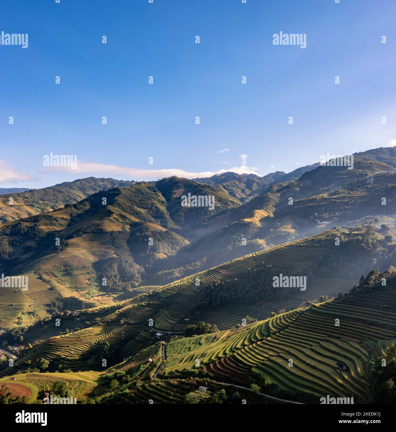 Rice fields on terraced of Mu Cang Chai, YenBai, Vietnam. Rice fields ...