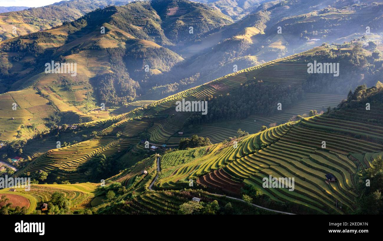 Rice fields on terraced of Mu Cang Chai, YenBai, Vietnam. Rice fields ...