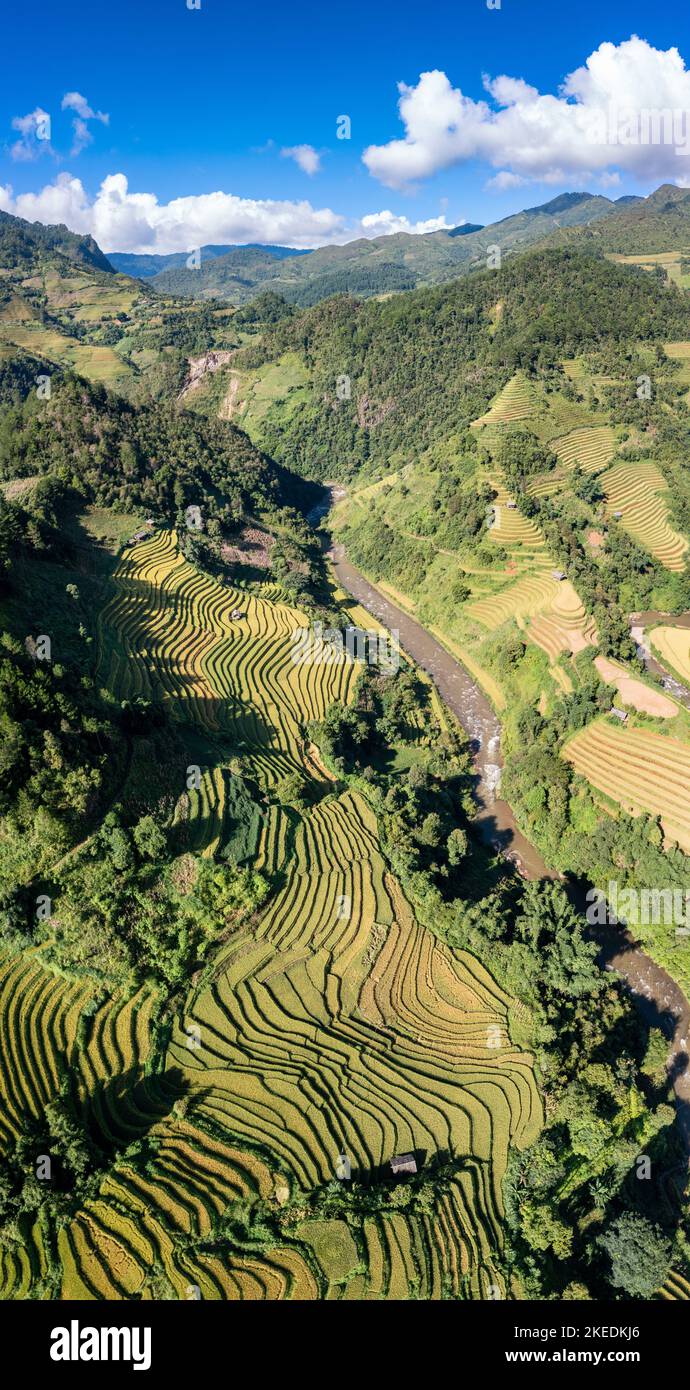 Rice fields on terraced of Mu Cang Chai, YenBai, Vietnam. Rice fields ...