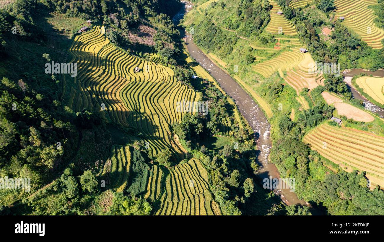 Rice fields on terraced of Mu Cang Chai, YenBai, Vietnam. Rice fields ...