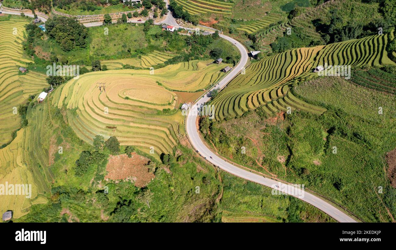 Rice fields on terraced of Mu Cang Chai, YenBai, Vietnam. Rice fields ...