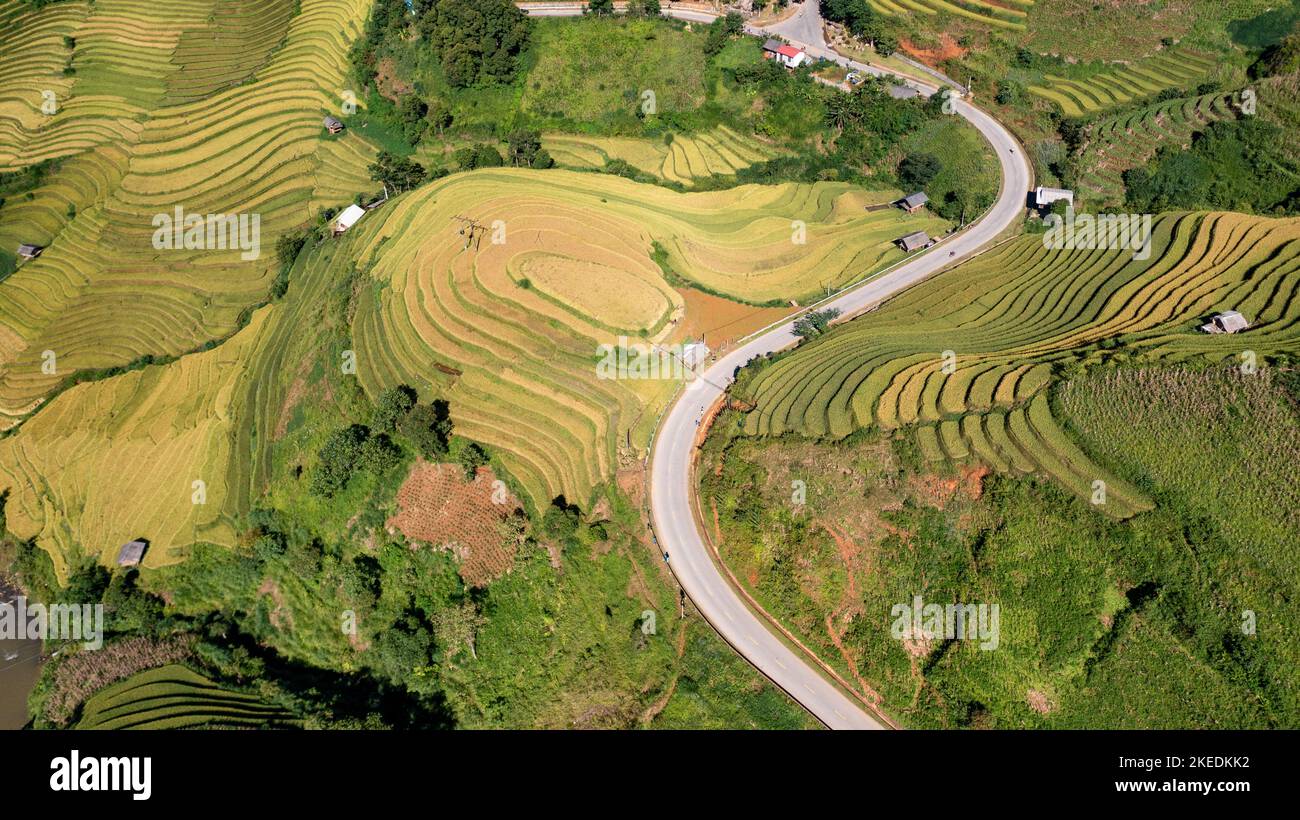 Rice fields on terraced of Mu Cang Chai, YenBai, Vietnam. Rice fields ...