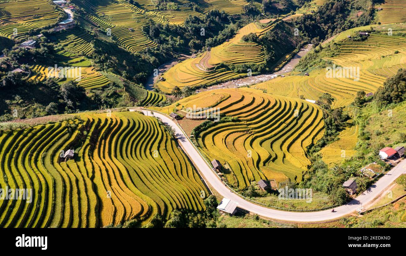 Rice fields on terraced of Mu Cang Chai, YenBai, Vietnam. Rice fields ...