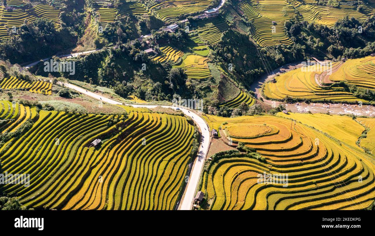 Rice fields on terraced of Mu Cang Chai, YenBai, Vietnam. Rice fields ...