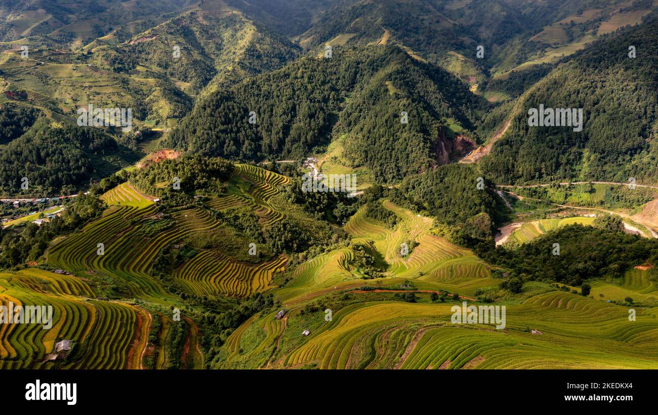 Rice fields on terraced of Mu Cang Chai, YenBai, Vietnam. Rice fields ...