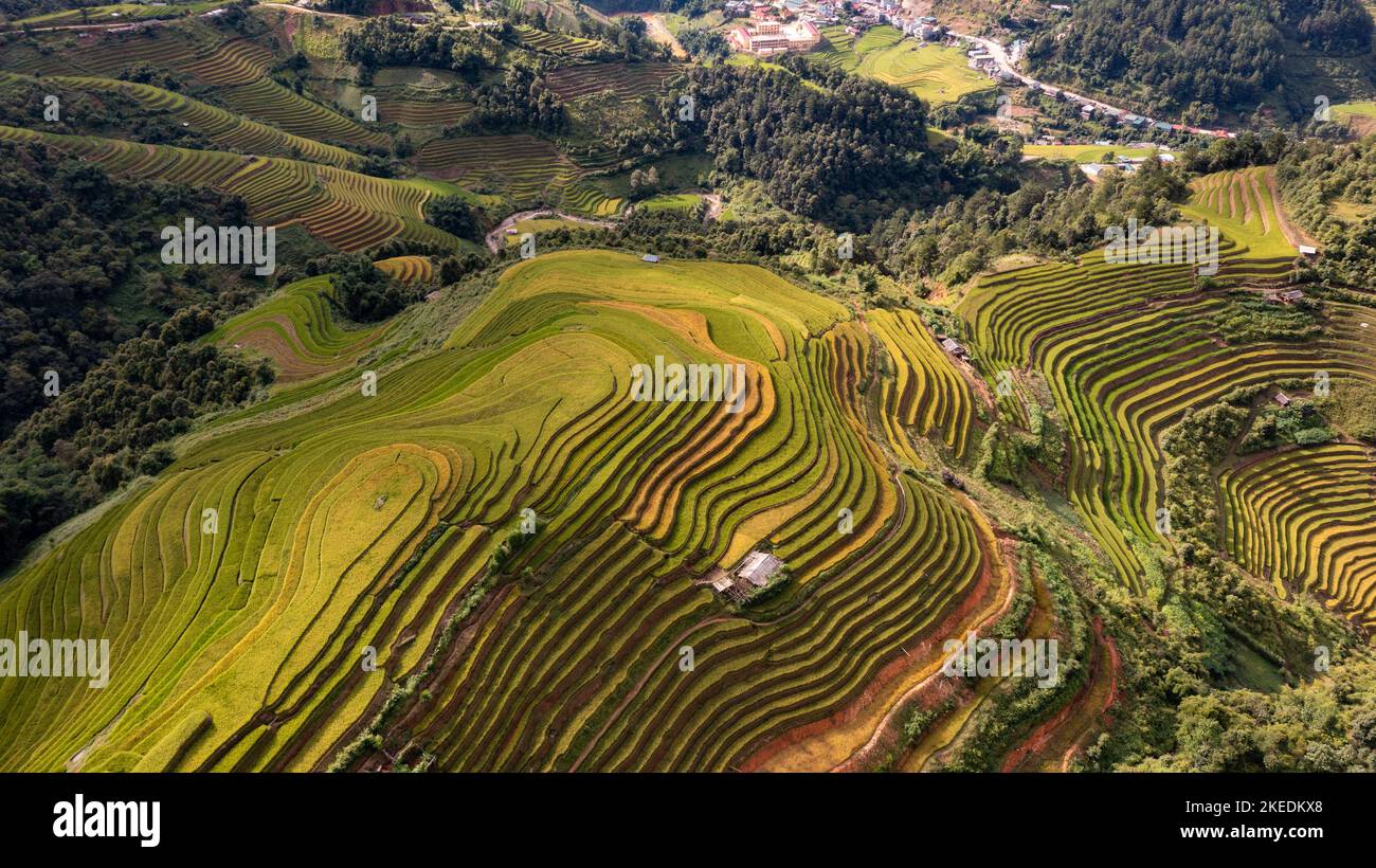 Rice fields on terraced of Mu Cang Chai, YenBai, Vietnam. Rice fields ...