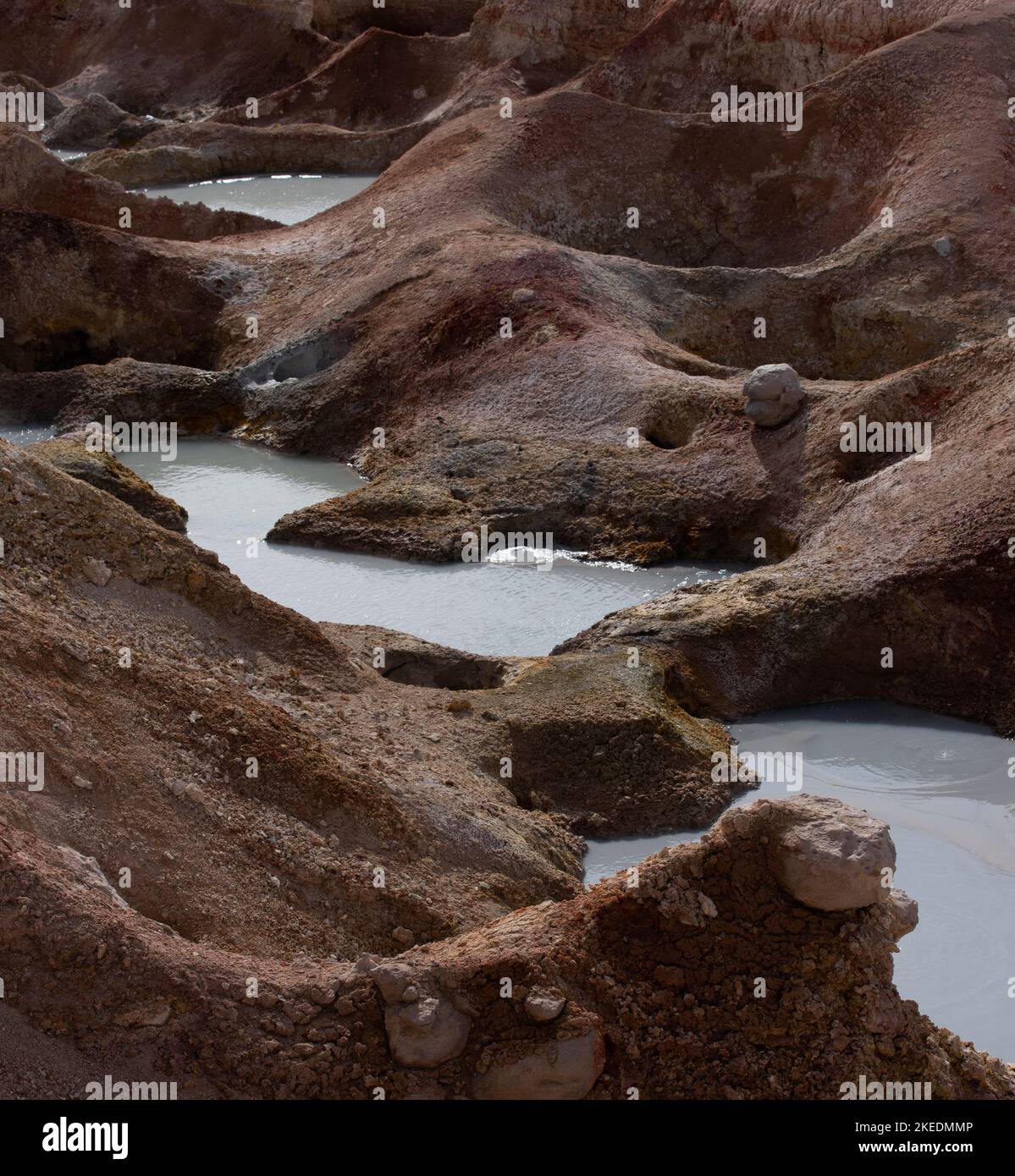 A vertical closeup shot of details on a geothermal tar pond in ...