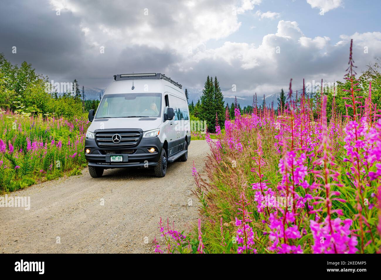 Senior woman driving Airstream Interstate 24X 4WD campervan; Fireweed ...