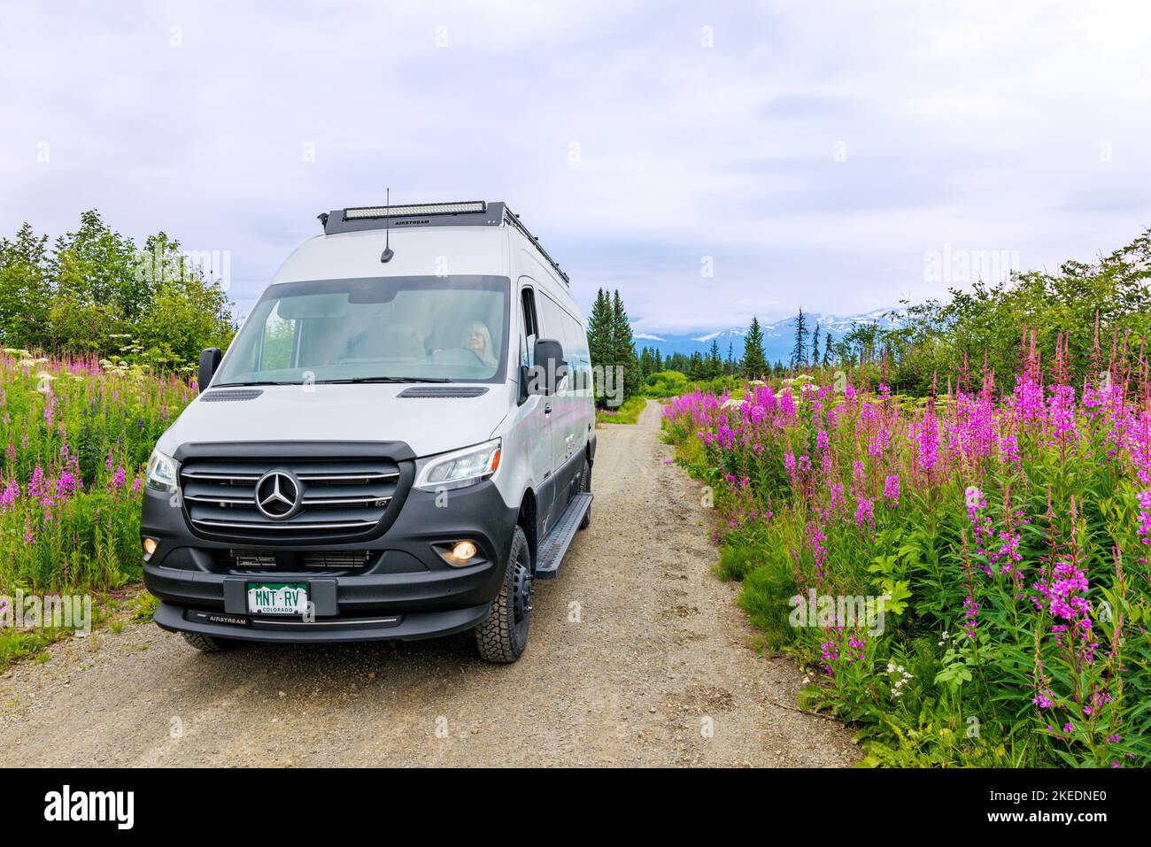 Senior woman driving Airstream Interstate 24X 4WD campervan; Fireweed ...