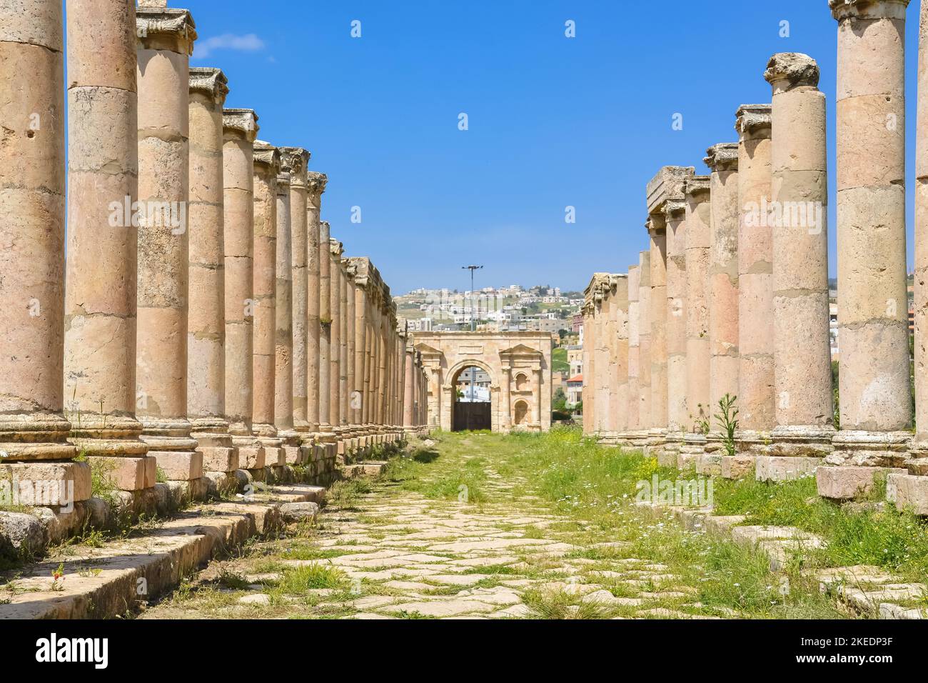The pillars in the temple of Artemis in the Roman city of Gerasa ...