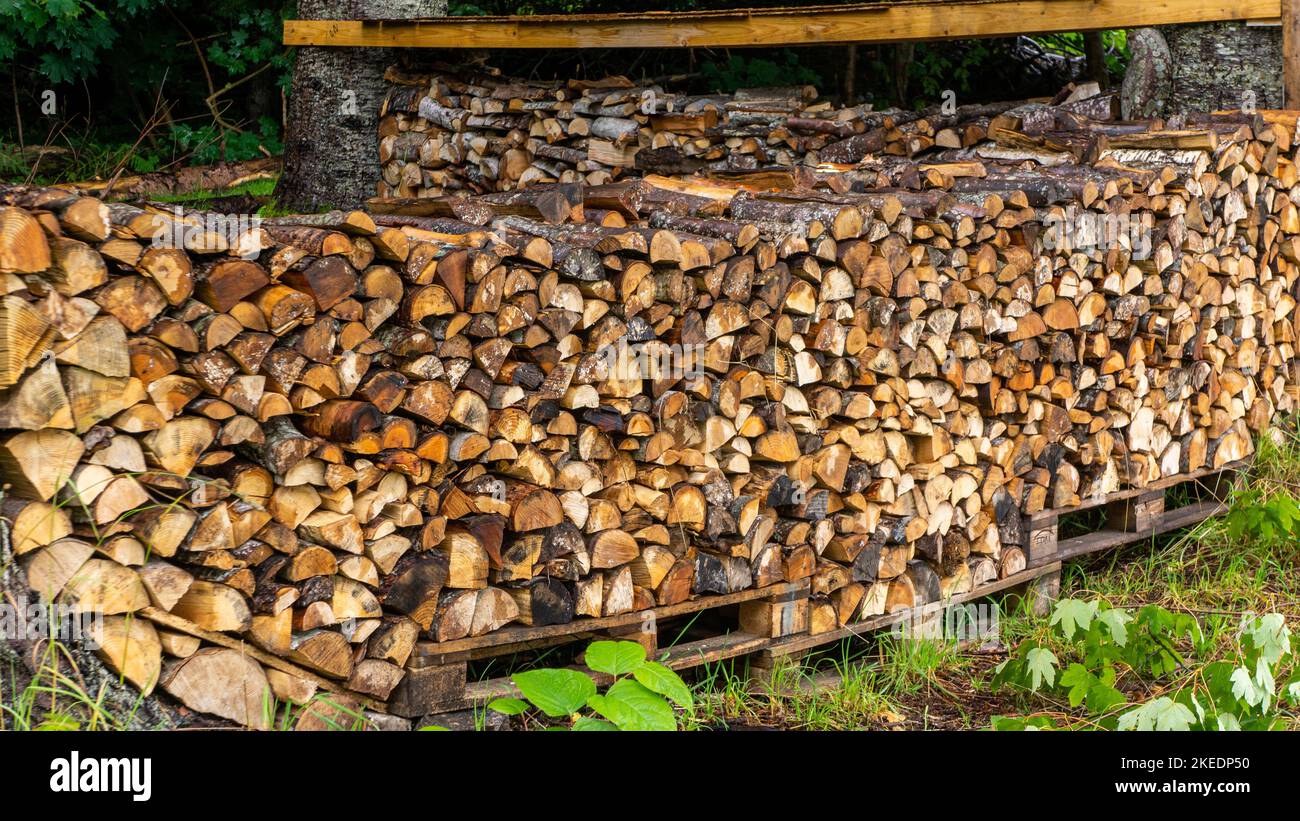 A big stack of wood logs cut and arranged together Stock Photo - Alamy