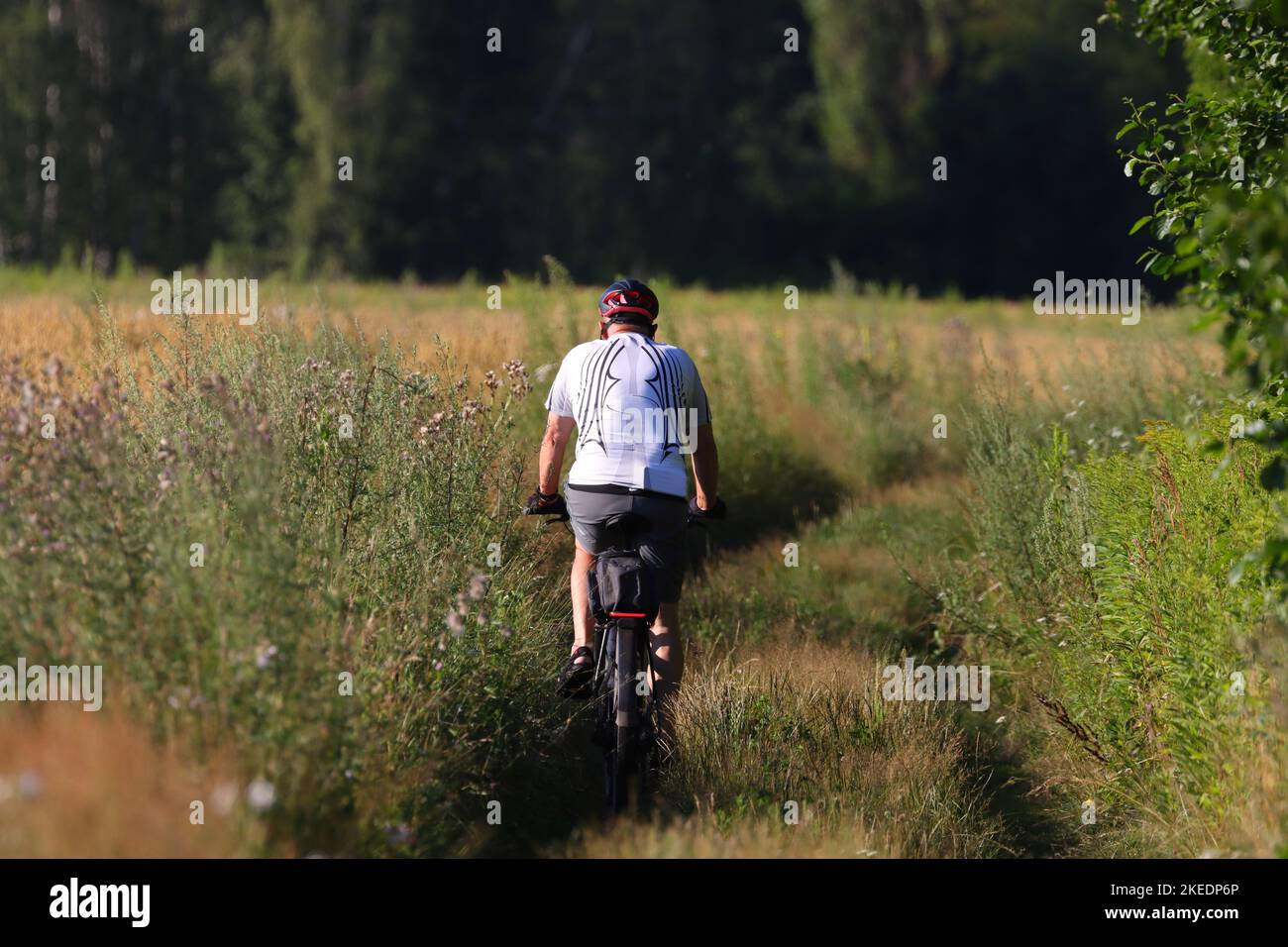 A back view of a person riding a bike in a field Stock Photo - Alamy