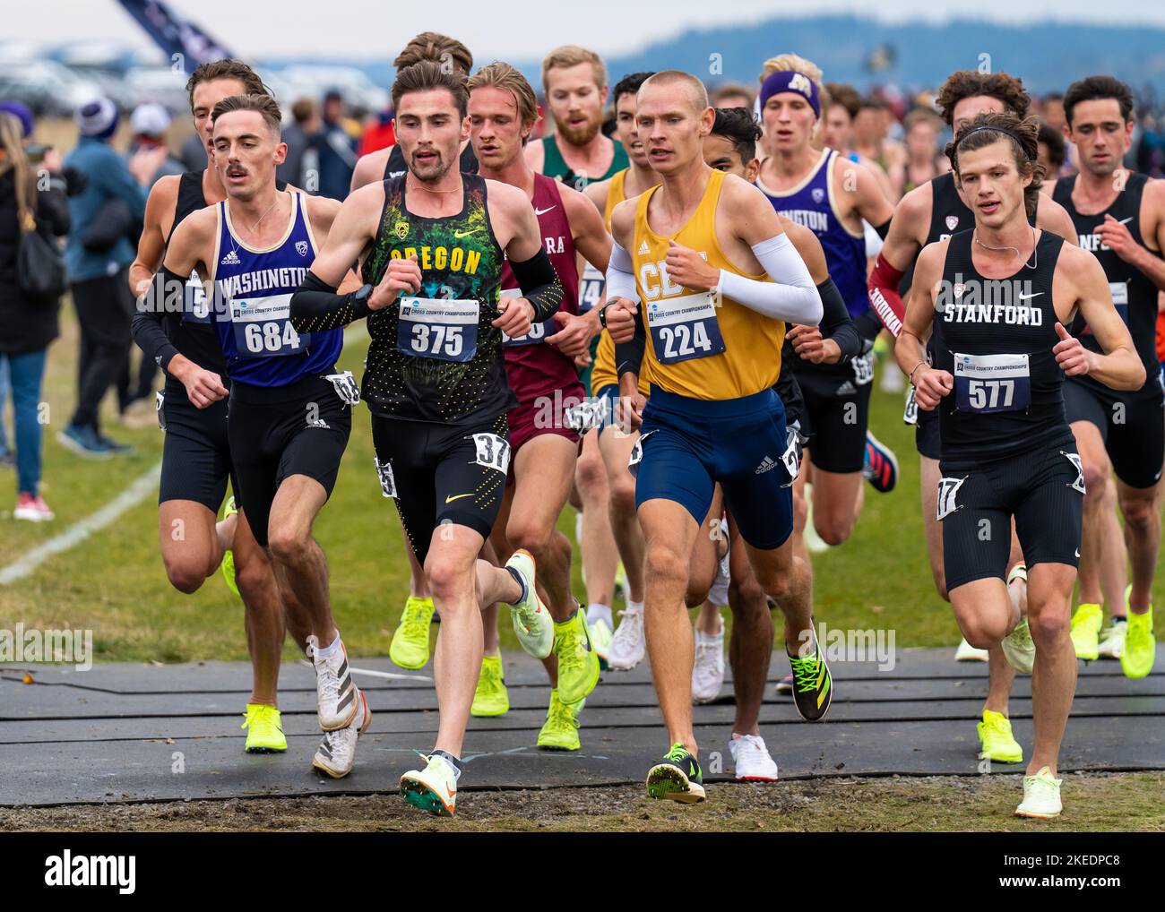 University Place, USA. 11th Nov, 2022. Pictured left to right, Brian ...