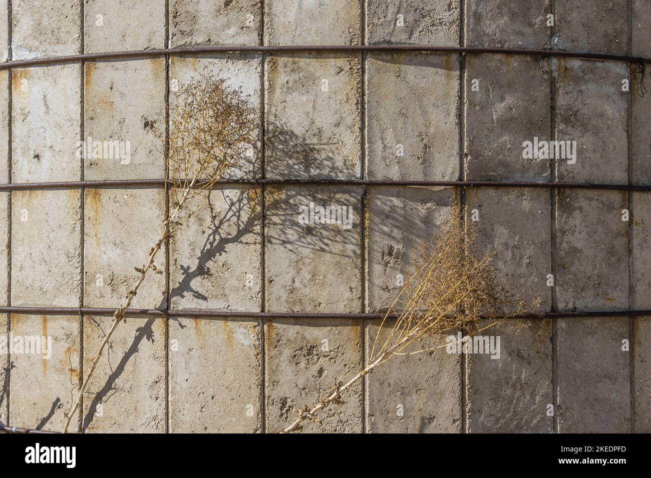 A detail of an old-fashioned silo constructed out of concrete blocks ...