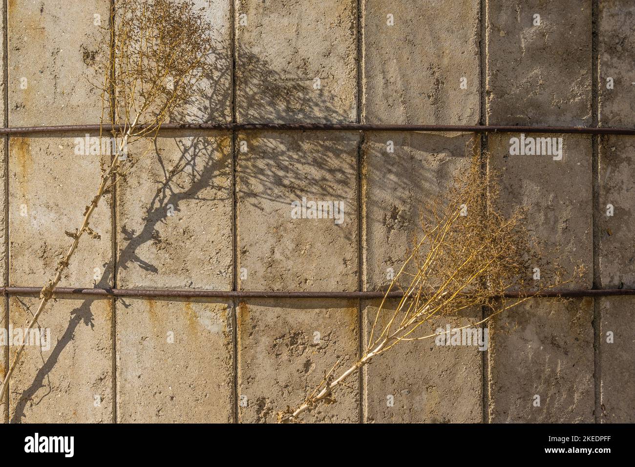 Old Silos Texture