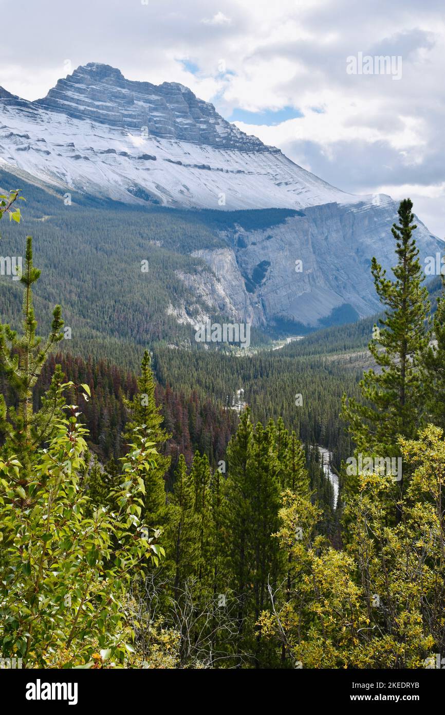 The spectacular Icefield Parkway (Alberta, Canada Stock Photo - Alamy