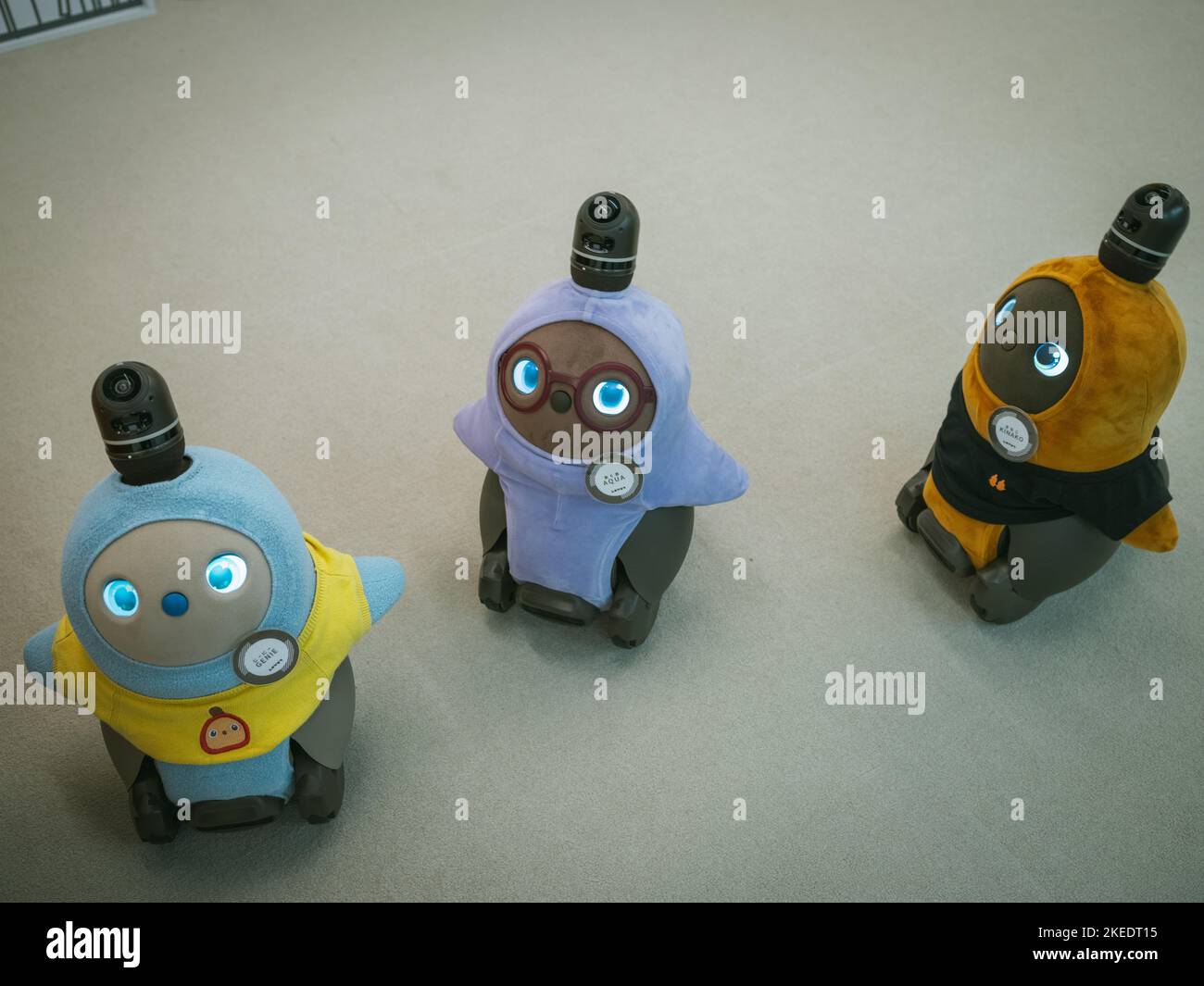 Lovot robots are displayed at Lovot Museum on October 18, 2022 in Tokyo ...
