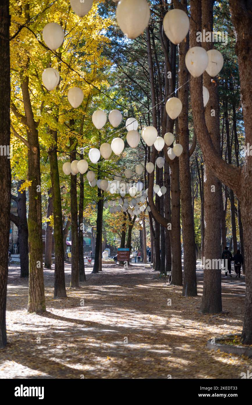 Beautiful Namiseom Nami Island on Han river in South Korea during ...