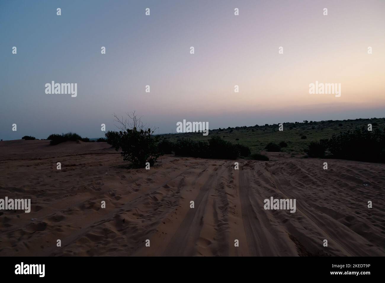 View of Thar desert sand dunes , pre dawn light before sun rise ...