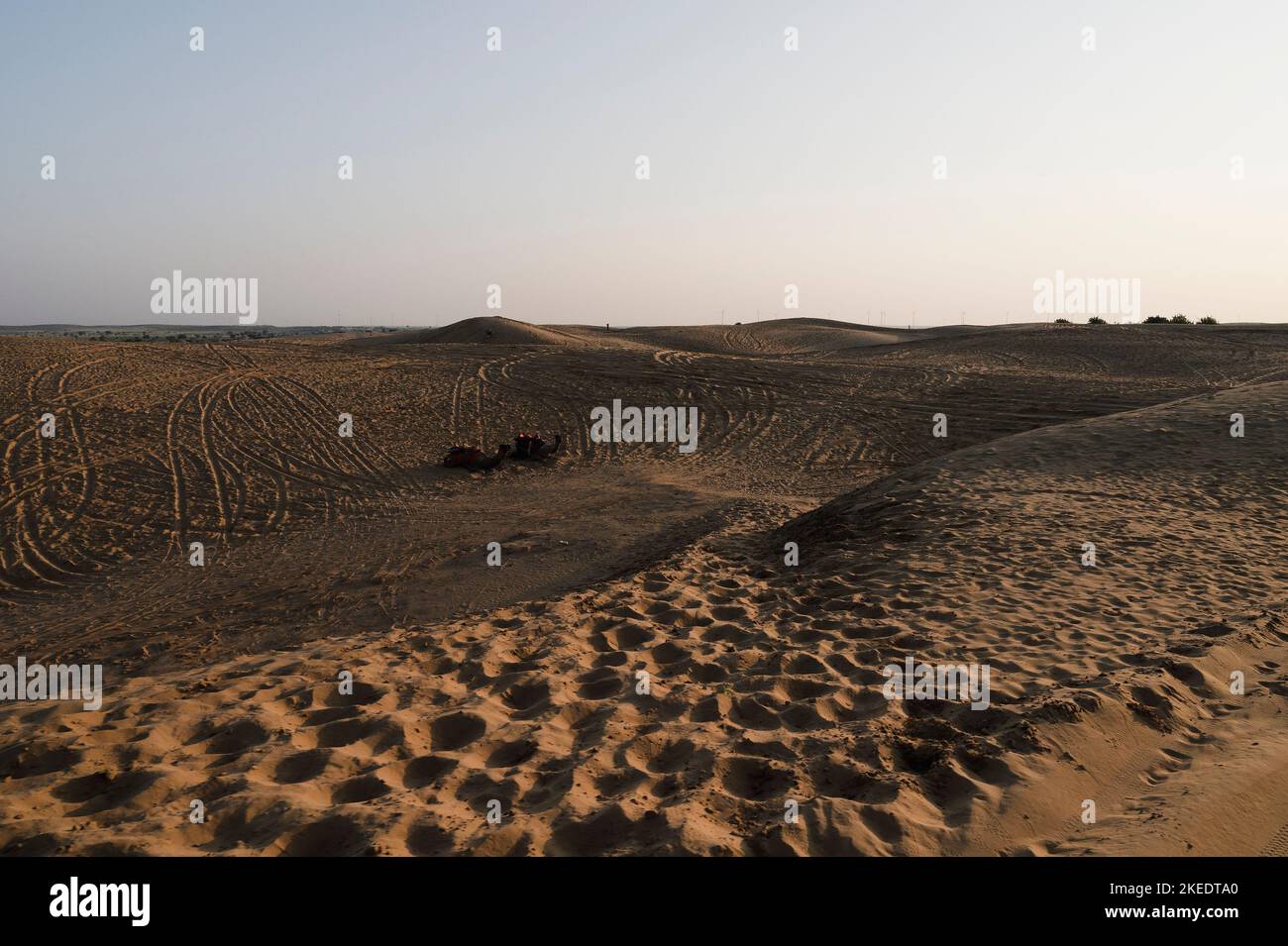 Car tyre marks on sand dunes of Thar desert, Rajasthan, India. Tourists ...