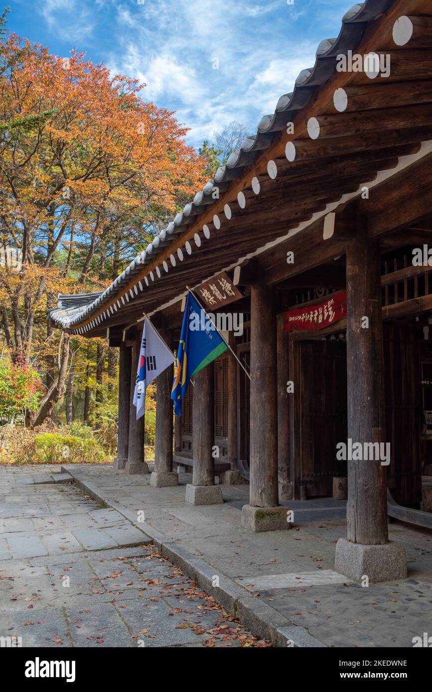 Beautiful Namiseom Nami Island on Han river in South Korea during ...
