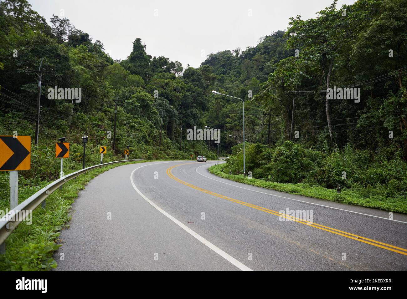 Asphalt road through the forest Stock Photo - Alamy