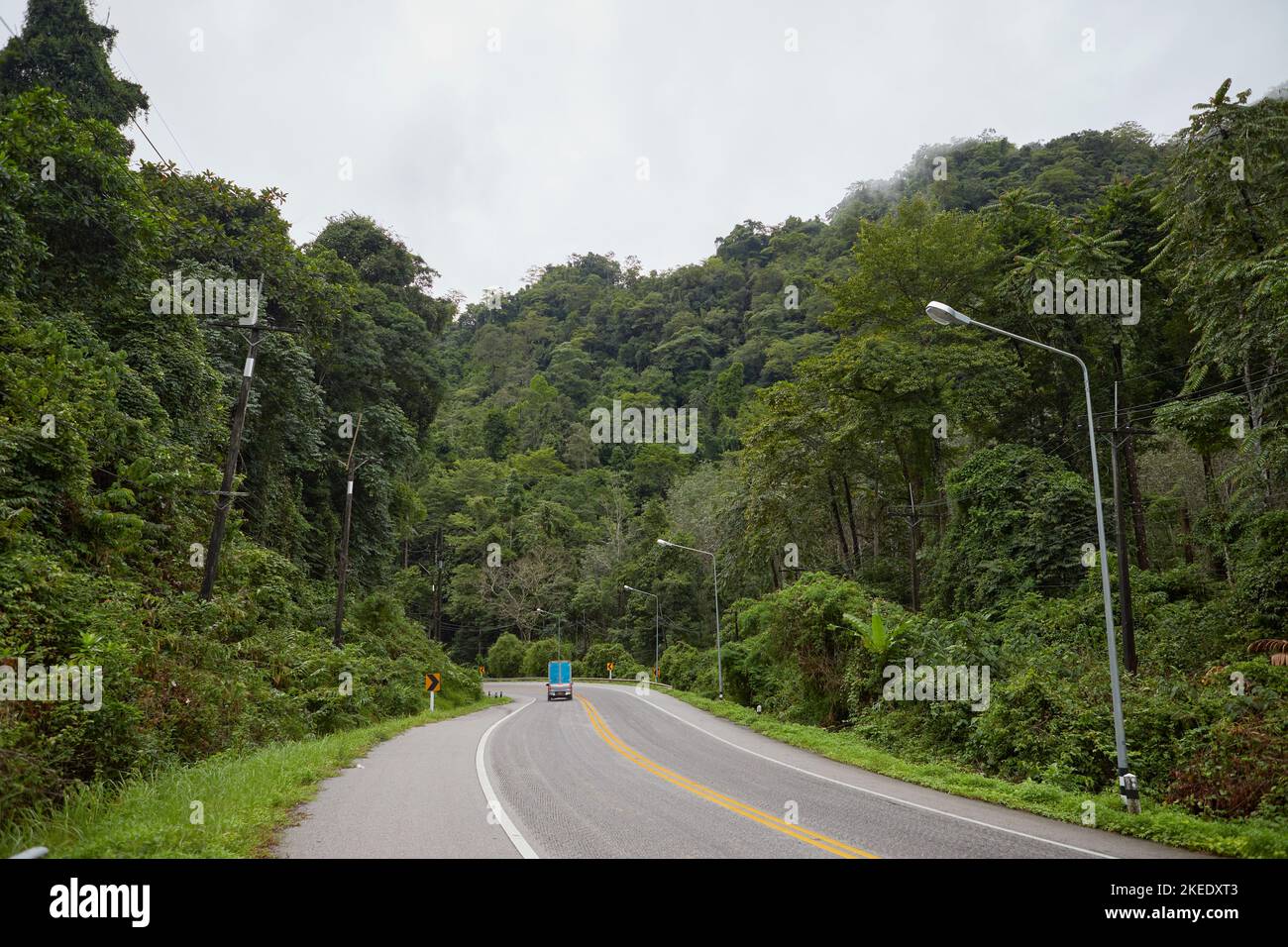 Asphalt road through the forest Stock Photo - Alamy