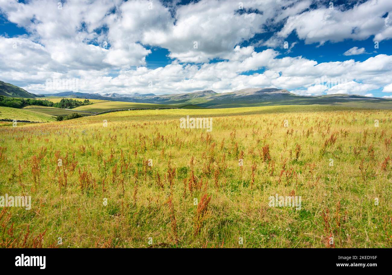 Quiet and secluded,in mid-summer,blue sky and fluffy white clouds ...