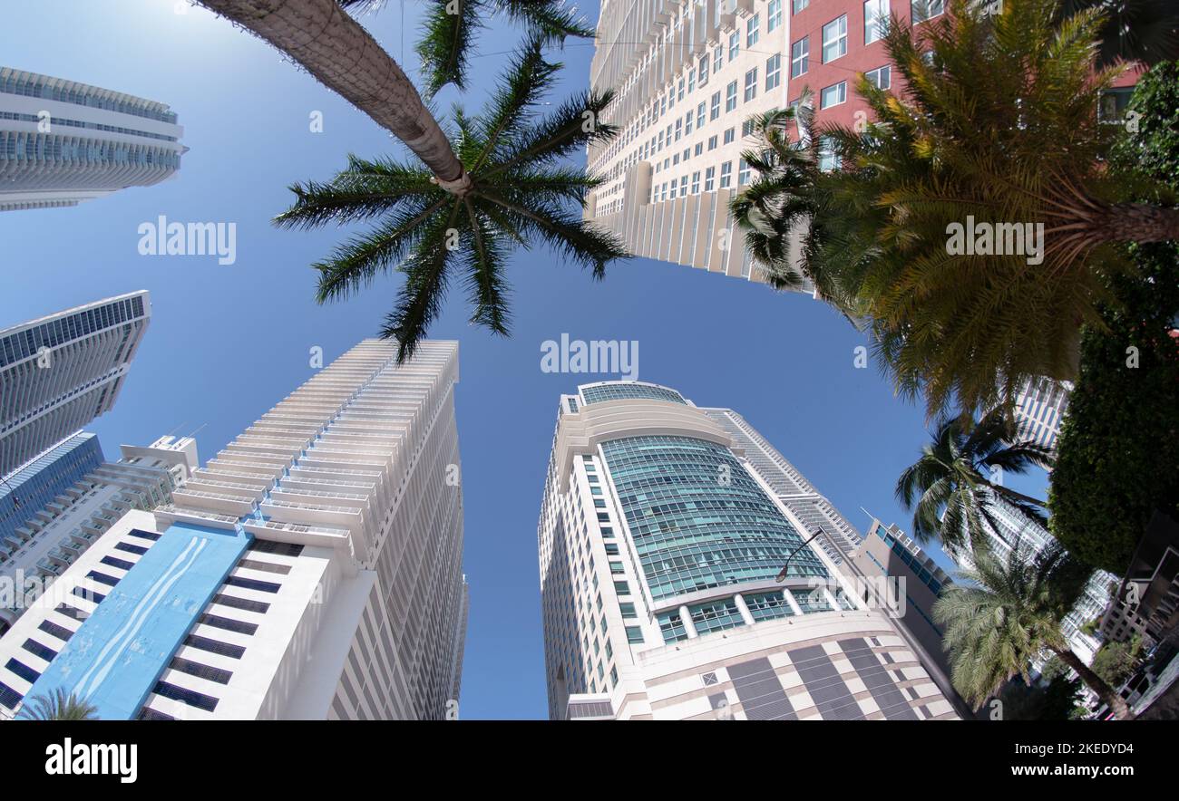 Photo of skyscraper with fish eye lens Stock Photo - Alamy