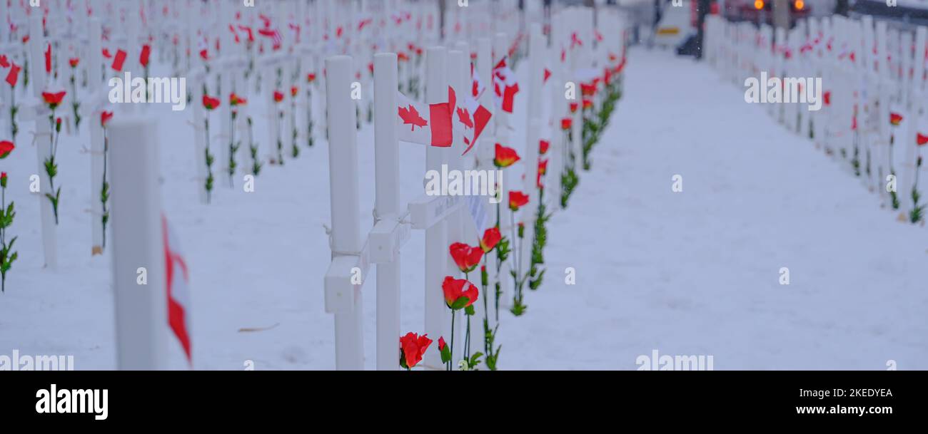 Field of crosses to mark canada's remembrance day Stock Photo - Alamy