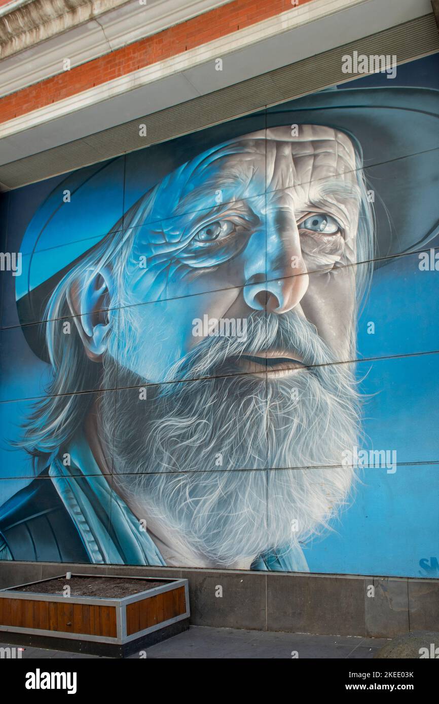 Blue Beard Street Art, Melbourne, Victoria, Australia Stock Photo - Alamy