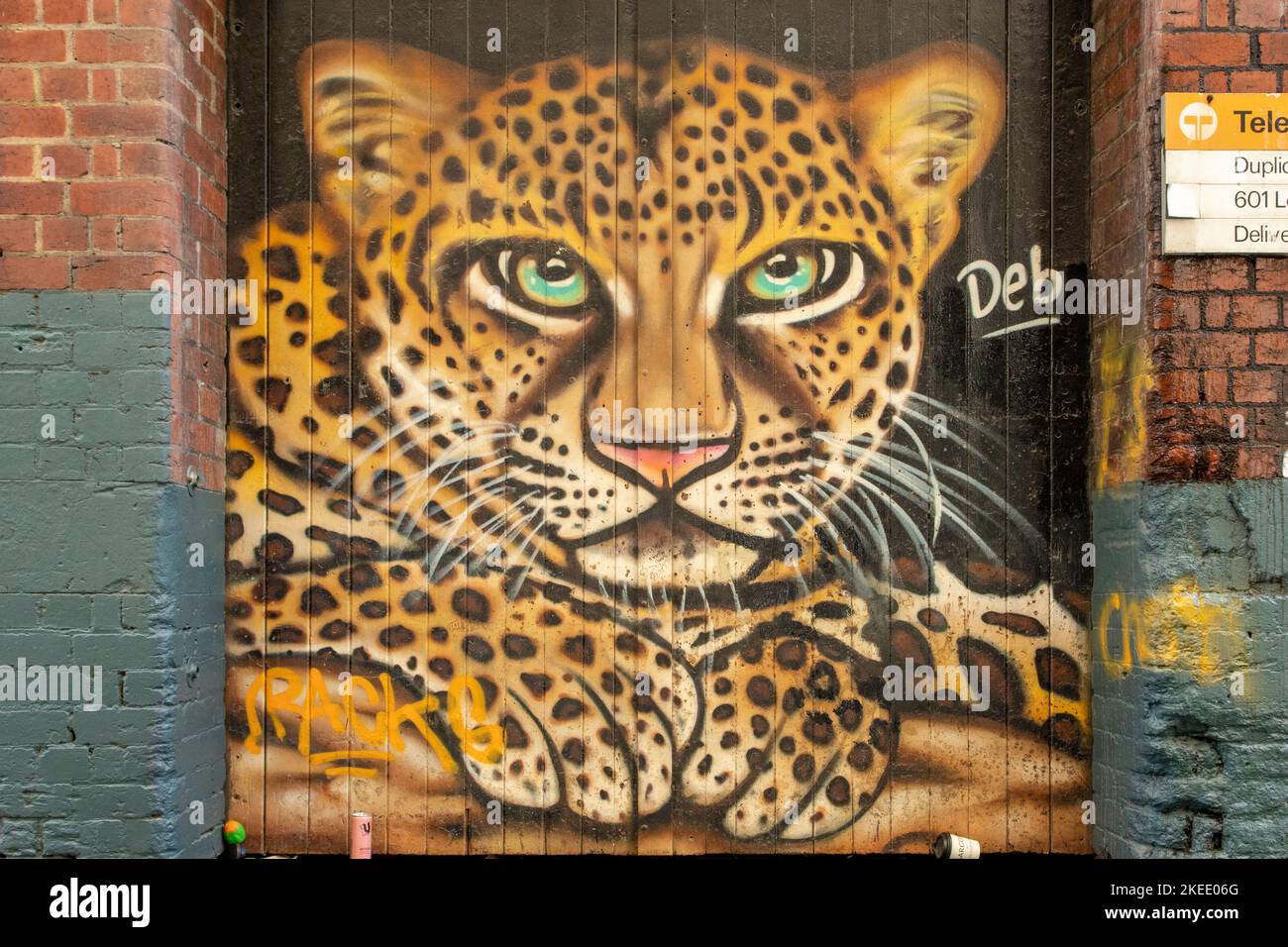 Leopard Street Art by Deb, Melbourne, Victoria, Australia Stock Photo ...