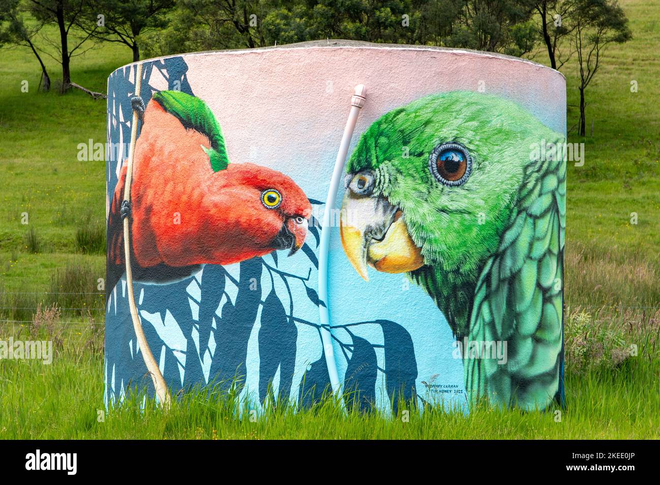 Parrots Water Tank Art, Flowerdale, Victoria, Australia Stock Photo - Alamy