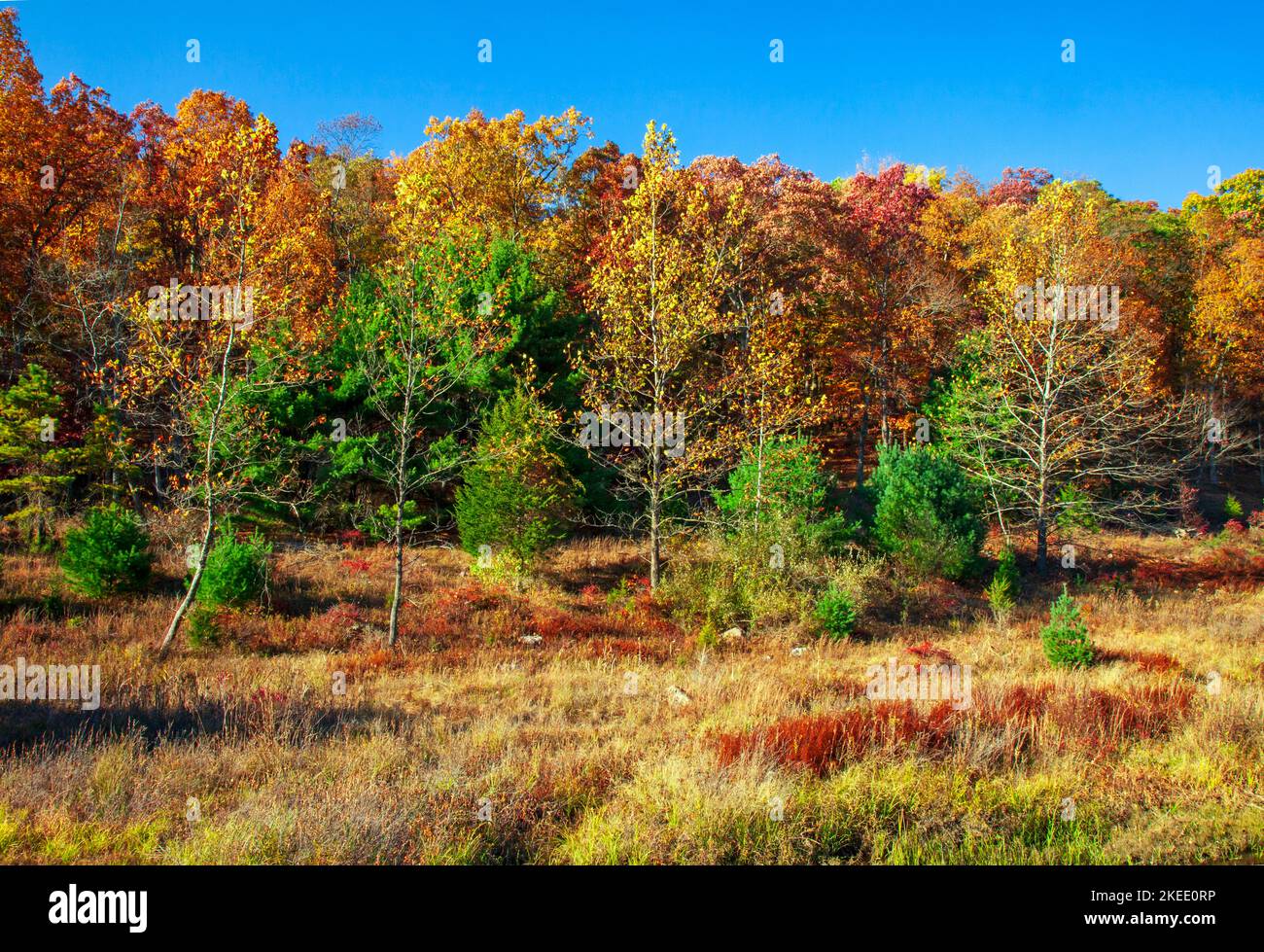 Autumn foliage at Blue Mountain Lake in Delaware Water Gap National ...