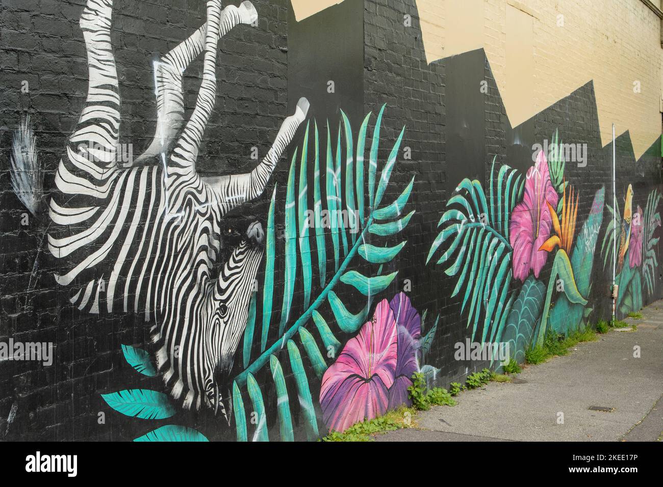 Zebra colourful art hi-res stock photography and images - Alamy