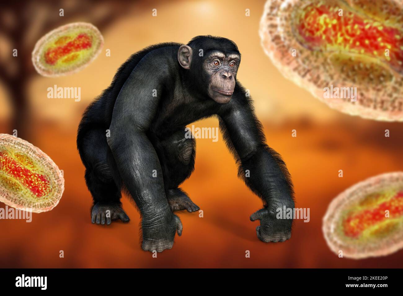 Virus particles around chimpanzee, illustration Stock Photo - Alamy