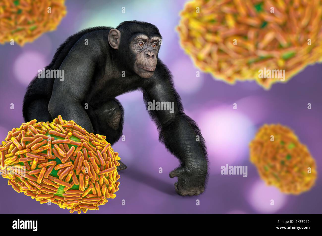 Virus particles around chimpanzee, illustration Stock Photo - Alamy