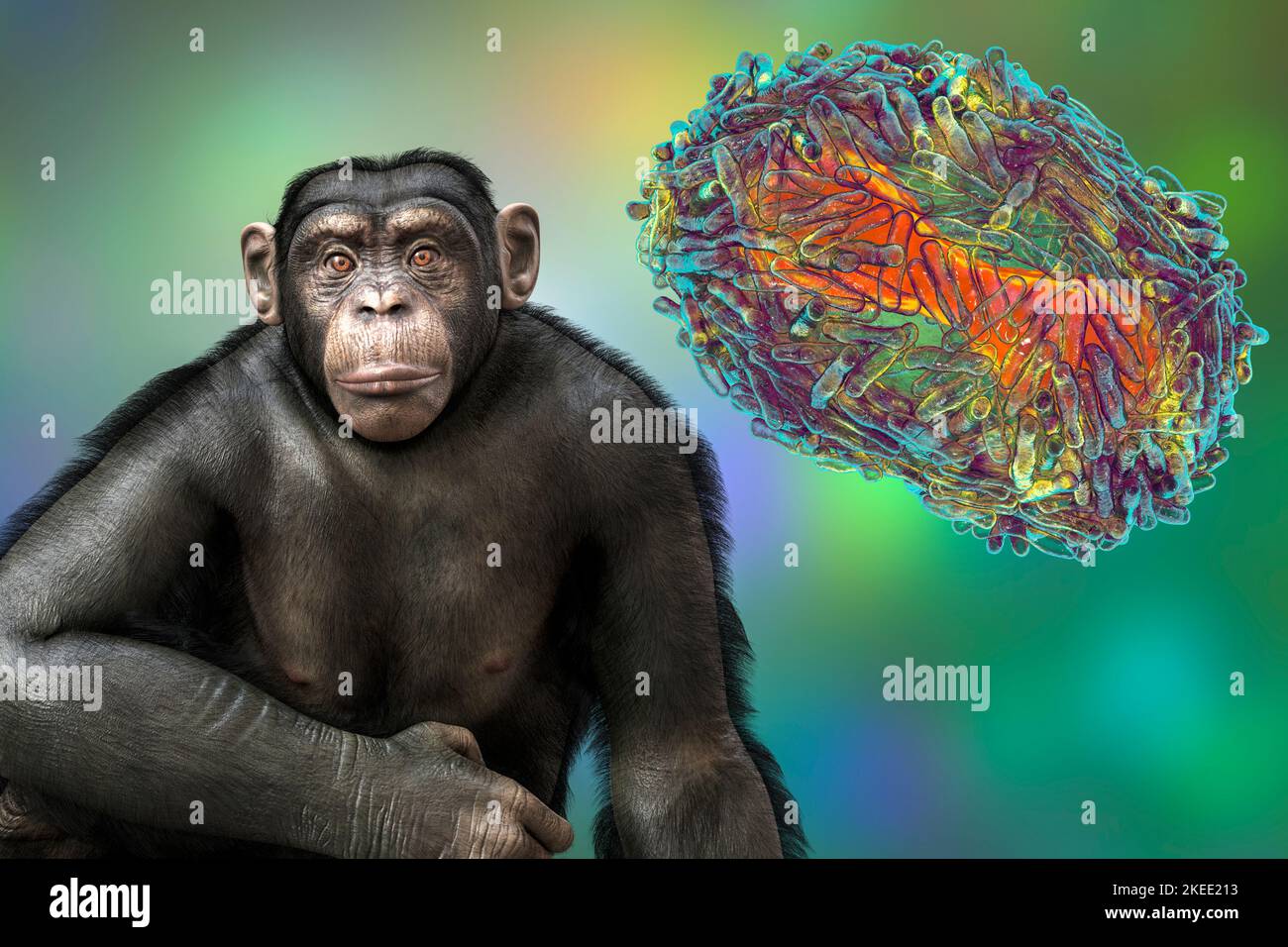 Monkeypox virus particle and chimpanzee, illustration Stock Photo - Alamy