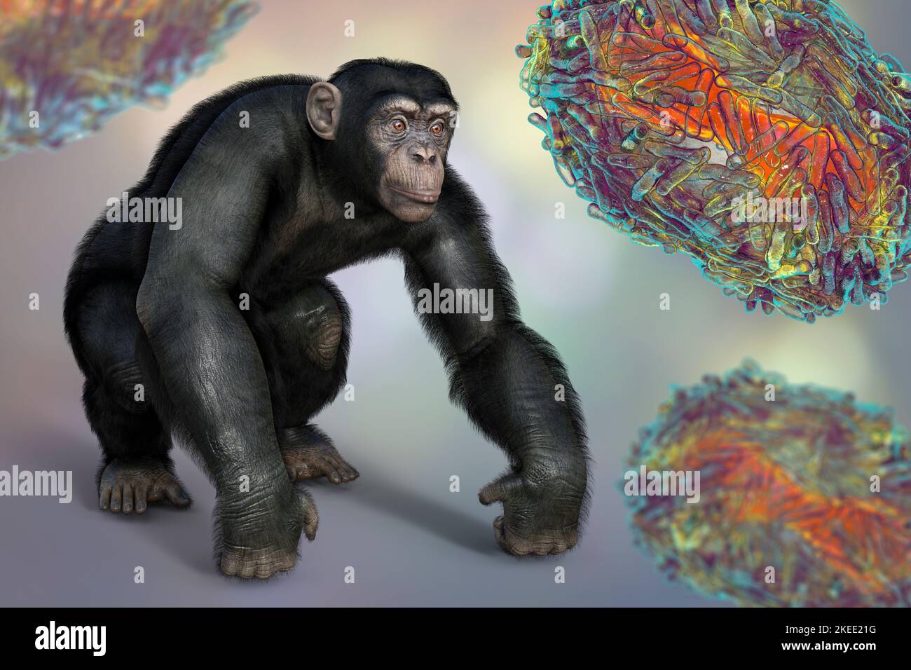 Virus particles around chimpanzee, illustration Stock Photo - Alamy